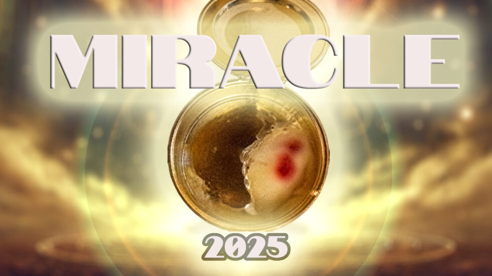 Potentiel nouveau Miracle Eucharistique en 2025 à Morris dans l'Indiana ...